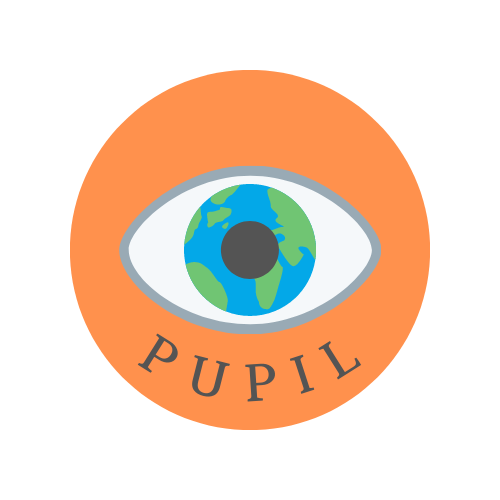 Pupil